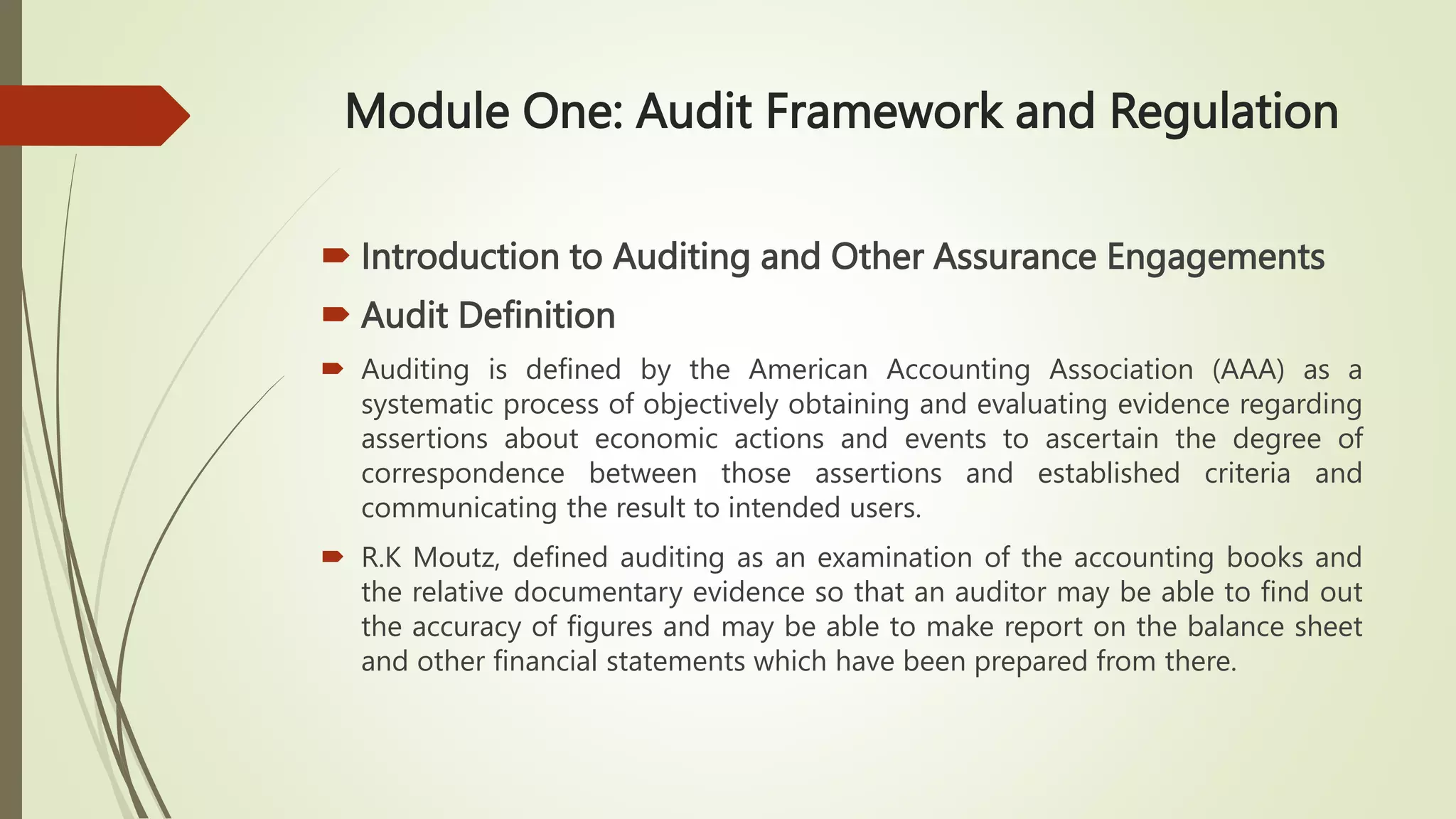 Audit & Investigation Presentation Module 1.pptx