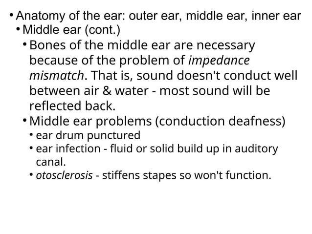 audition1.ppt visual activity in the eye | PPT
