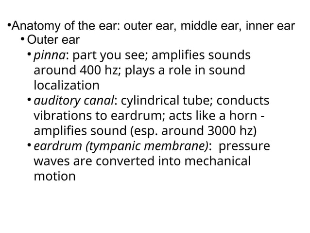 audition1.ppt visual activity in the eye | PPT