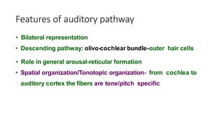 AUDITION auditory pathway endococlear potential | PDF