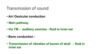 AUDITION auditory pathway endococlear potential | PDF