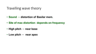 AUDITION auditory pathway endococlear potential | PDF