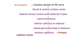 AUDITION auditory pathway endococlear potential | PDF