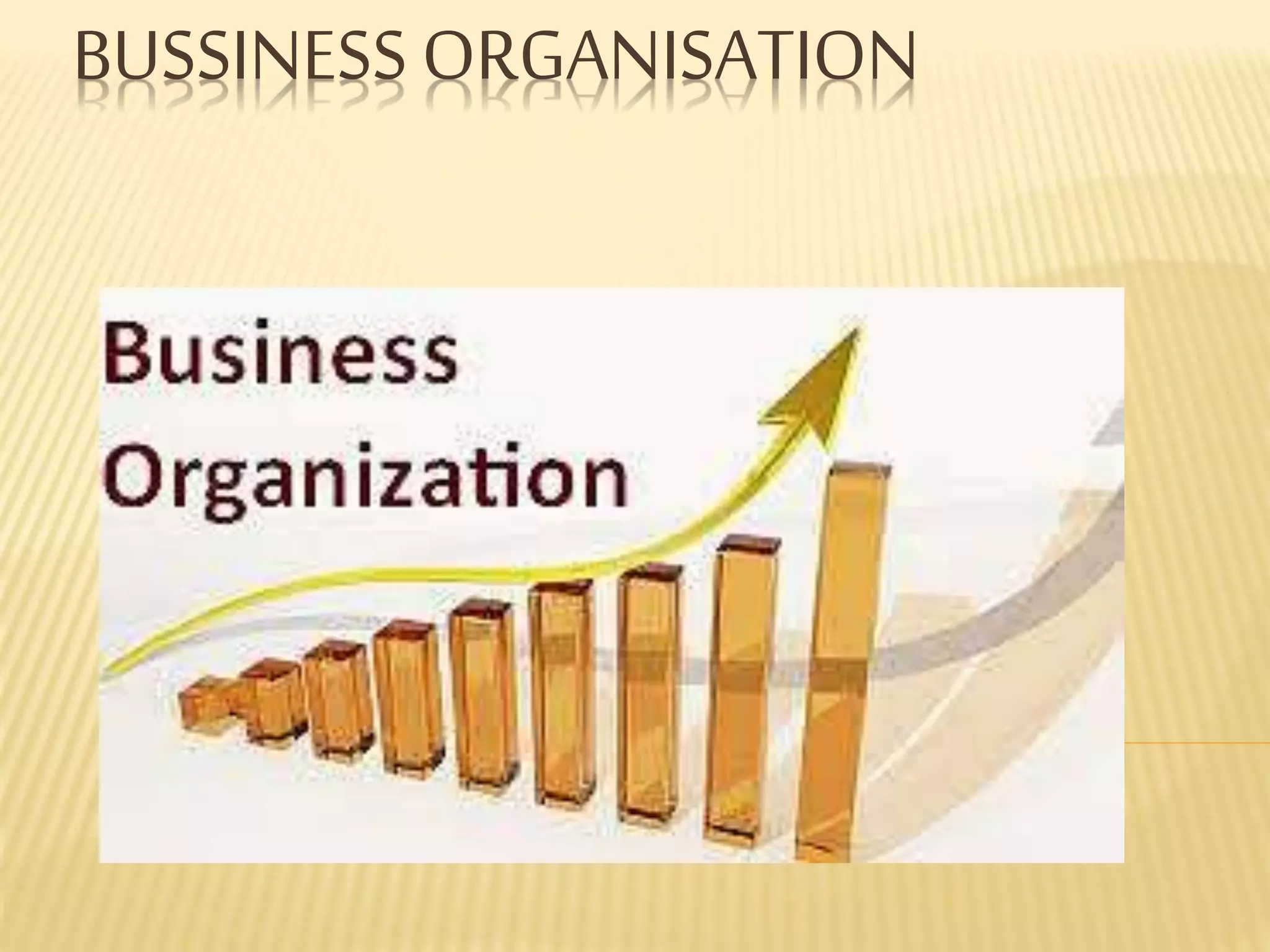 business organisation ppt | PPT