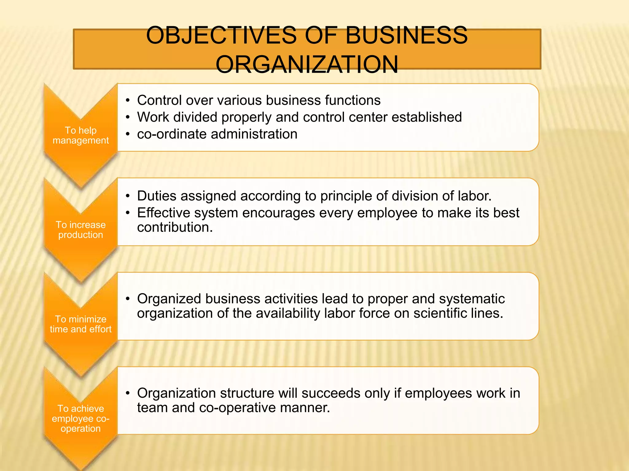 business organisation ppt | PPTX
