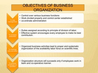 business organisation ppt | PPTX