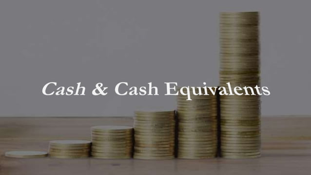 Audit of property plant & equipment (PPE) and cash & cash equivalents ...