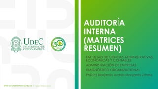 AUDITORÍA INTERNA (MATRICES RESUMEN) IIPA 2023.pdf
