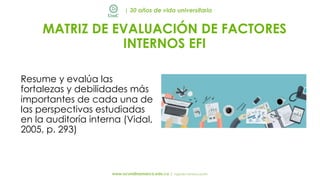 AUDITORÍA INTERNA (MATRICES RESUMEN) IIPA 2023.pdf