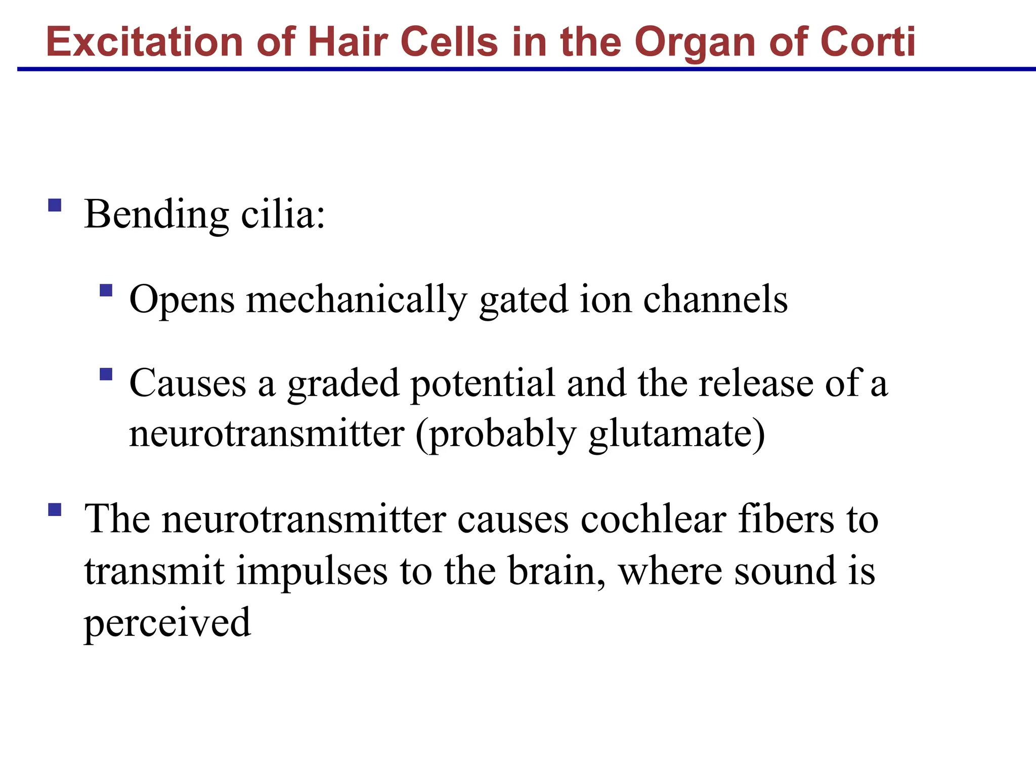 AUDITORY ear pathway special senses-2.ppt