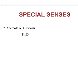 AUDITORY ear pathway special senses-2.ppt