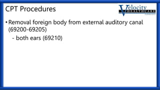 Auditory-System.pptx