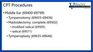 Auditory-System.pptx