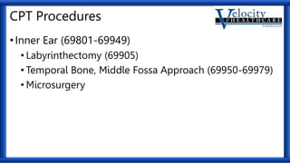 Auditory-System.pptx