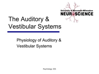 Auditory_and_Vestibular new.ppt