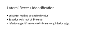 Auditory Brainstem Implant Presentations | PPTX