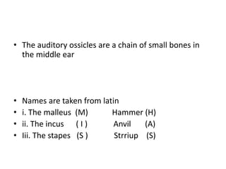 Auditory ossicles presentation | PPTX