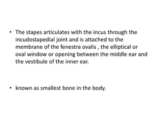 Auditory ossicles presentation | PPTX