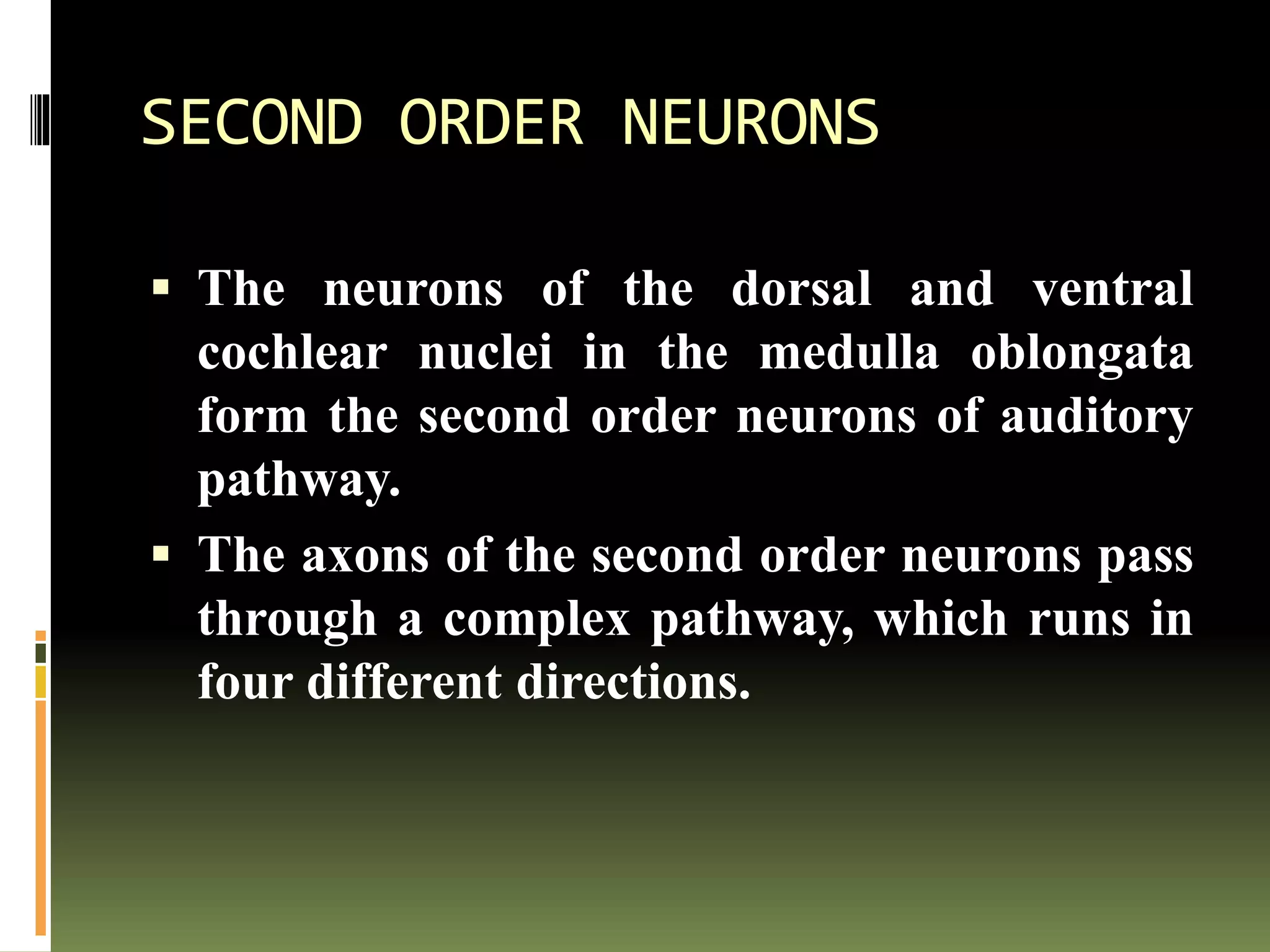 Auditory pathway | PPTX