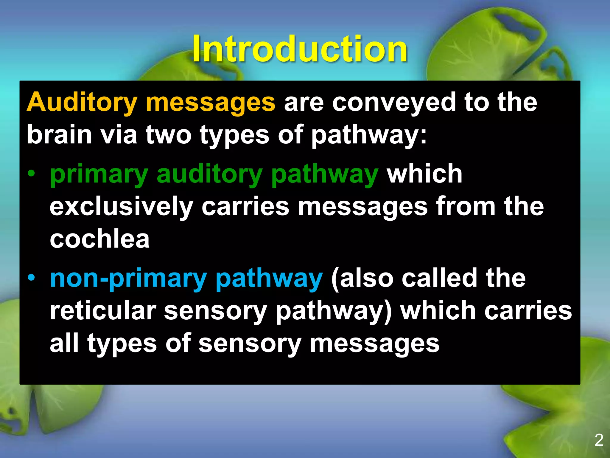 Auditory pathway | PPSX