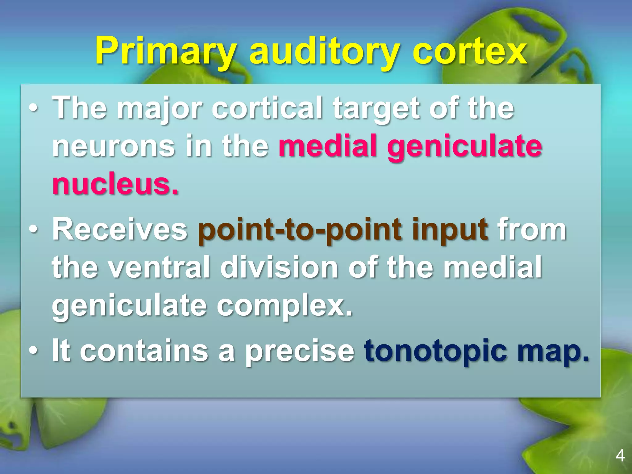 Auditory pathway | PPSX