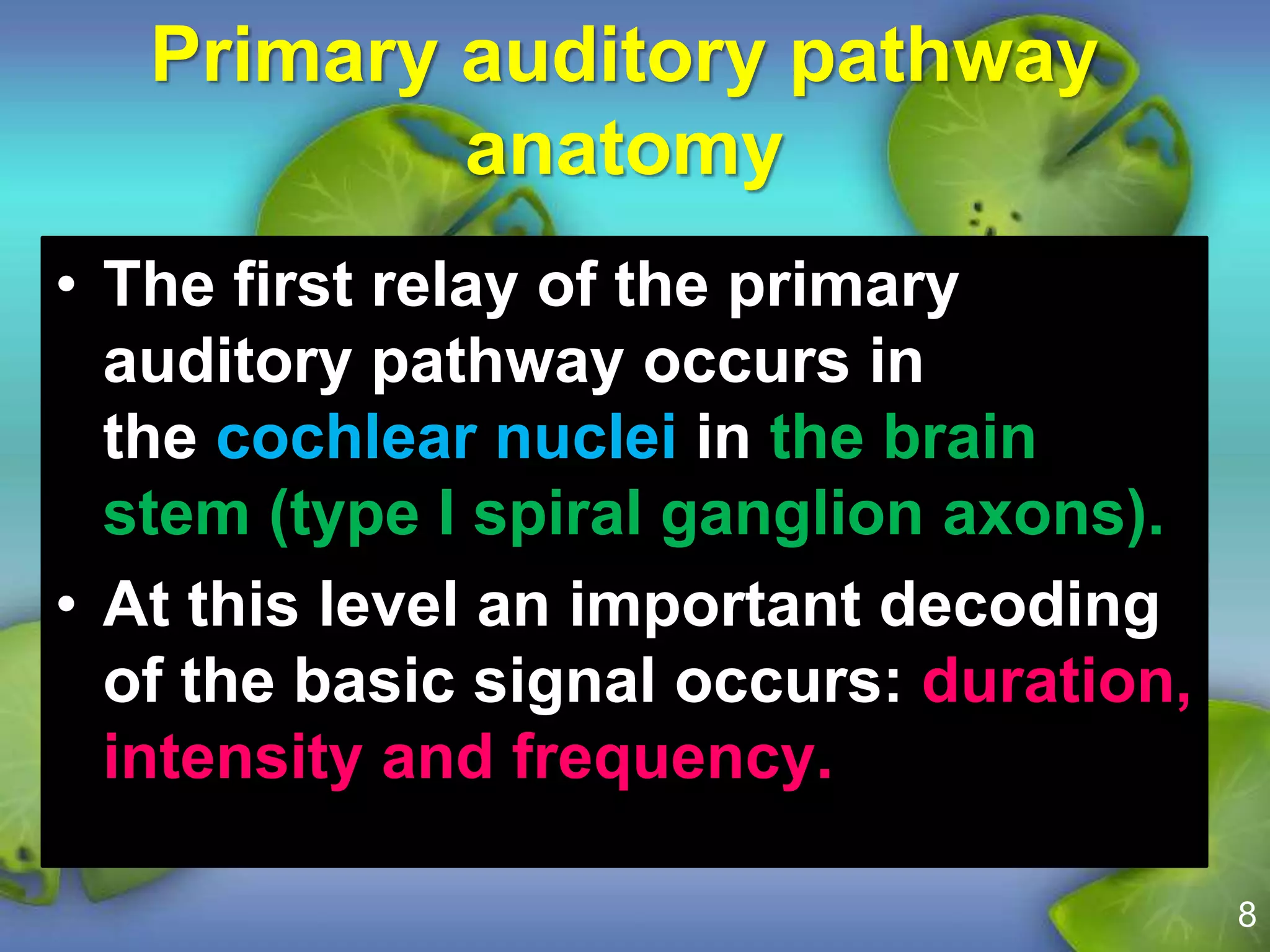 Auditory pathway | PPSX