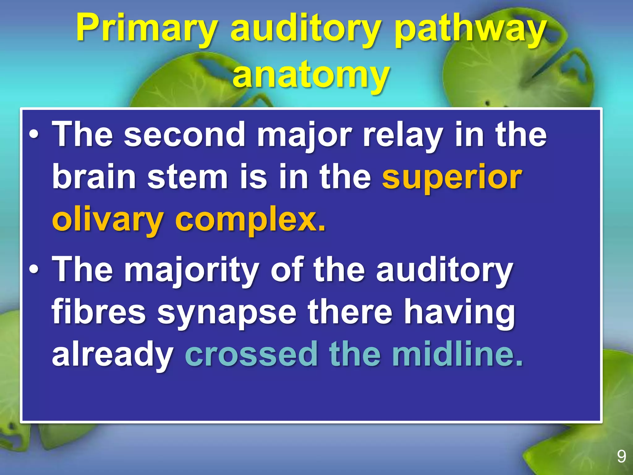 Auditory pathway | PPSX