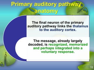 Auditory pathway | PPSX
