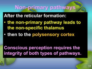 Auditory pathway | PPSX