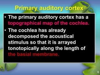 Auditory pathway | PPSX