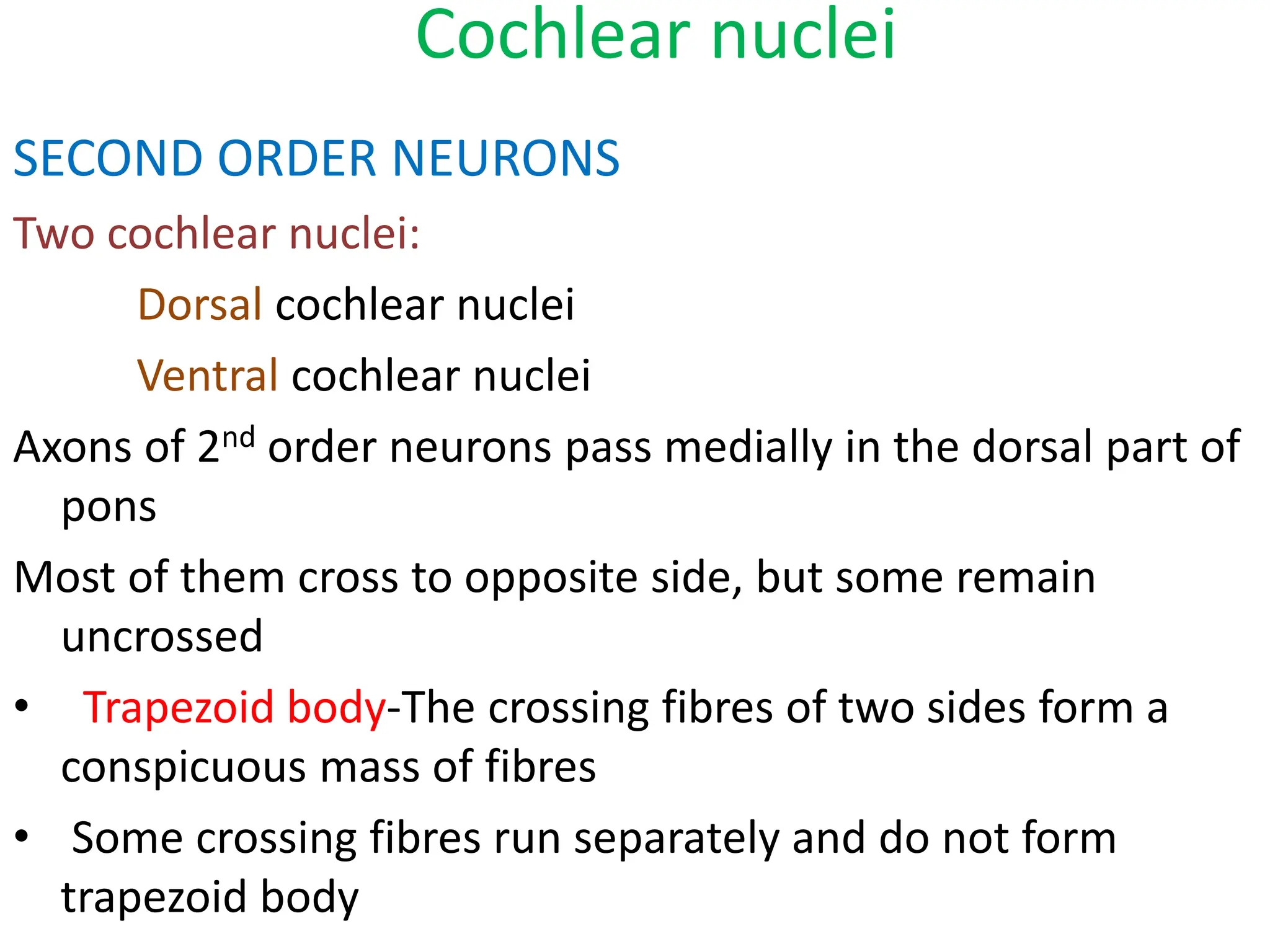 AUDITORY PATHWAY anatomy and physiologys | PPT