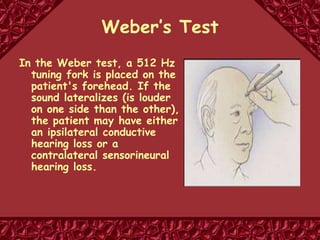 AUDITORY PATHWAY anatomy and physiologys | PPT
