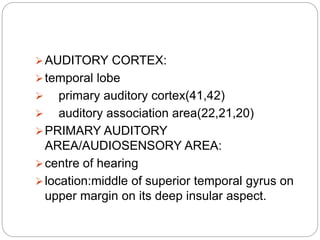 auditory pathway ppt | PPTX