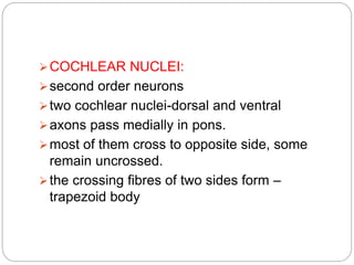 Auditory pathway BDS.pptx