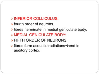 Auditory pathway BDS.pptx
