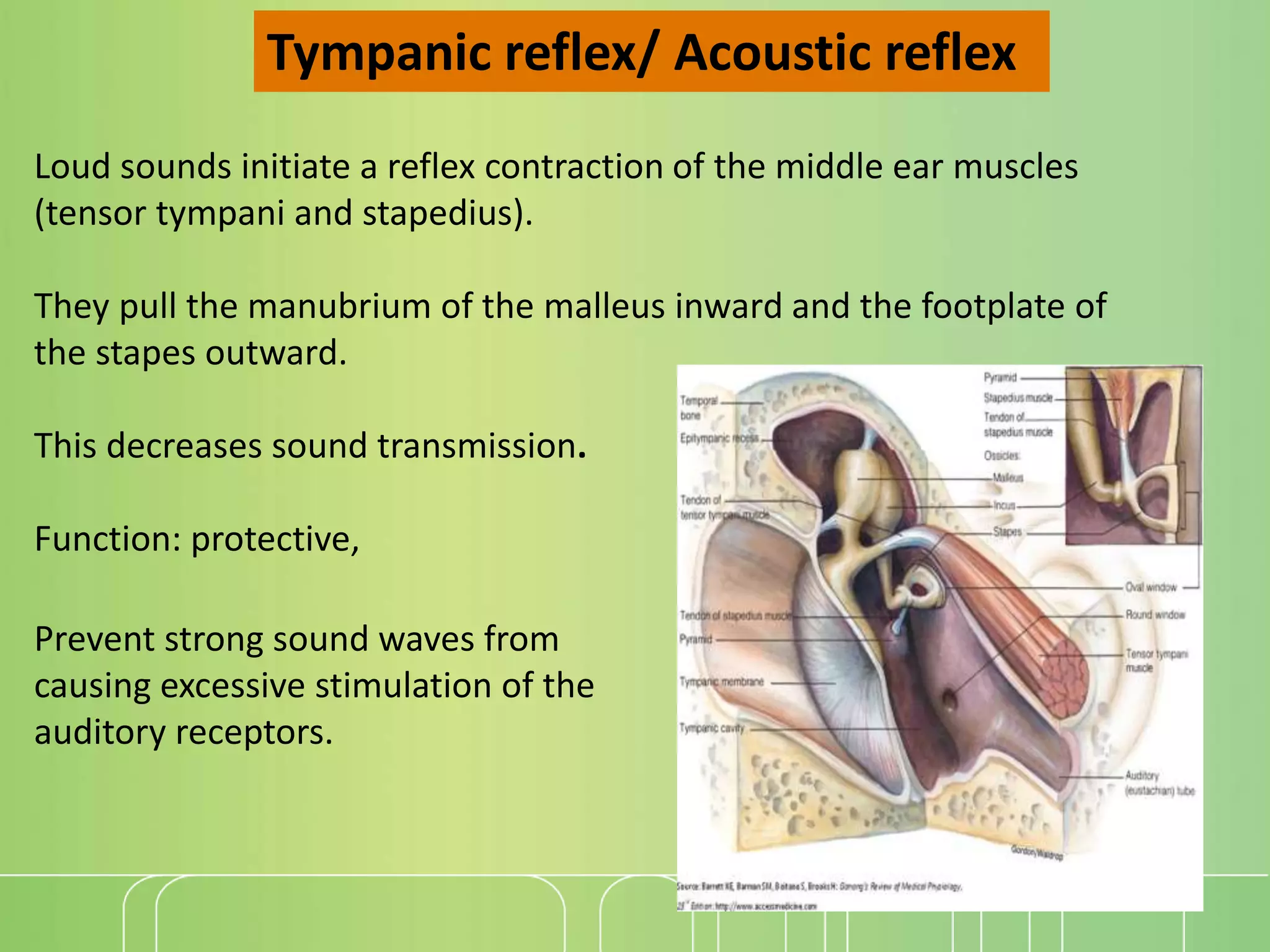 Auditory pathways | PPTX