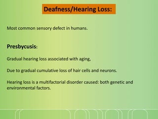 Auditory pathways | PPTX