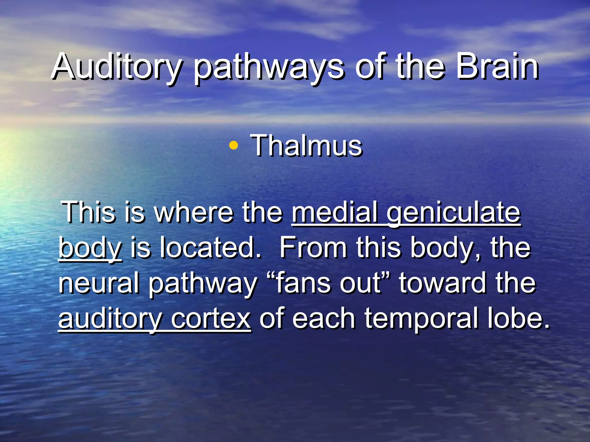 HIS 120 Auditory Pathways of the Brain | PPT | Digital Audio | Computer ...