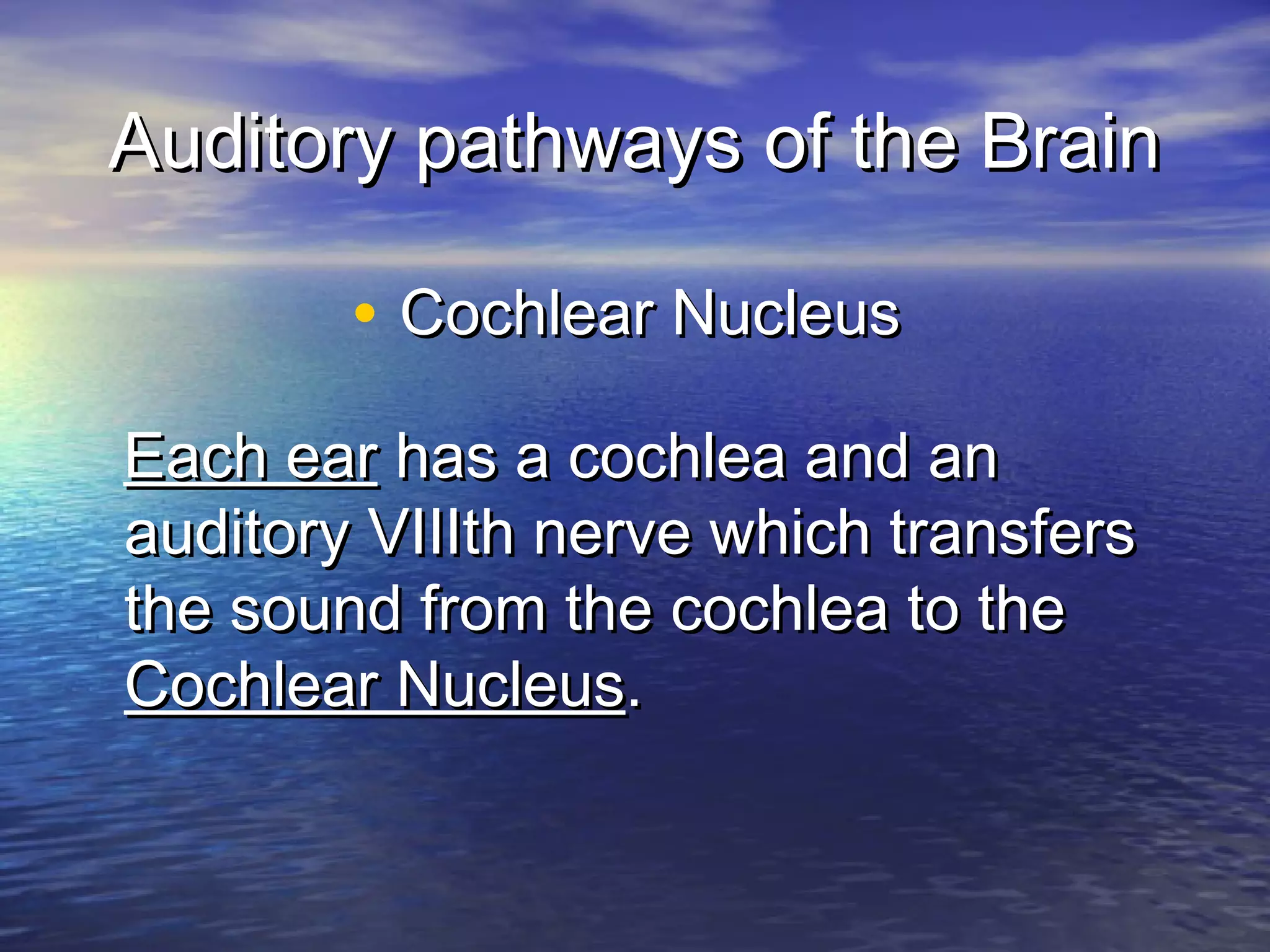 Auditory pathways of the brain | PPT
