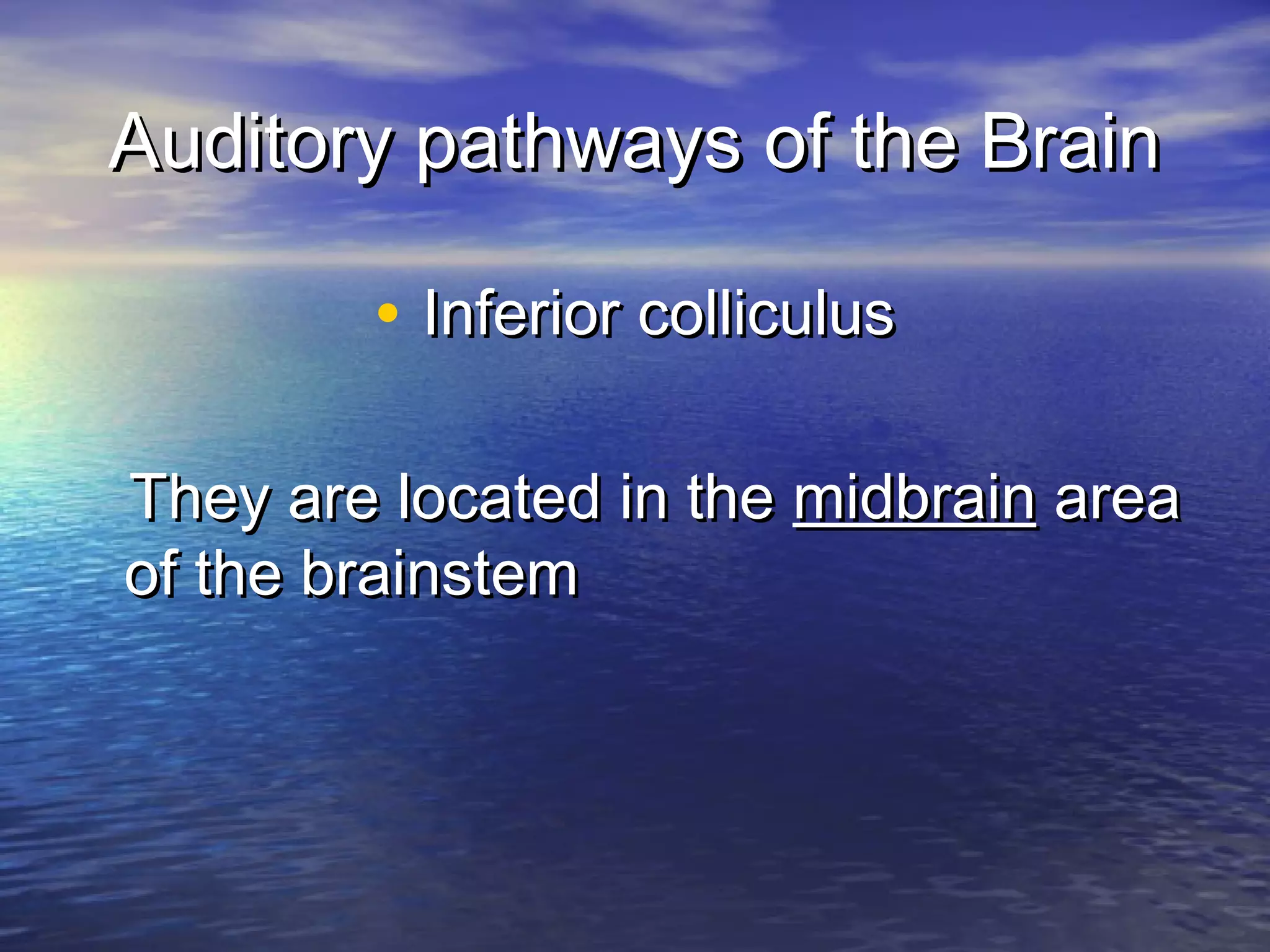 Auditory pathways of the brain | PPT