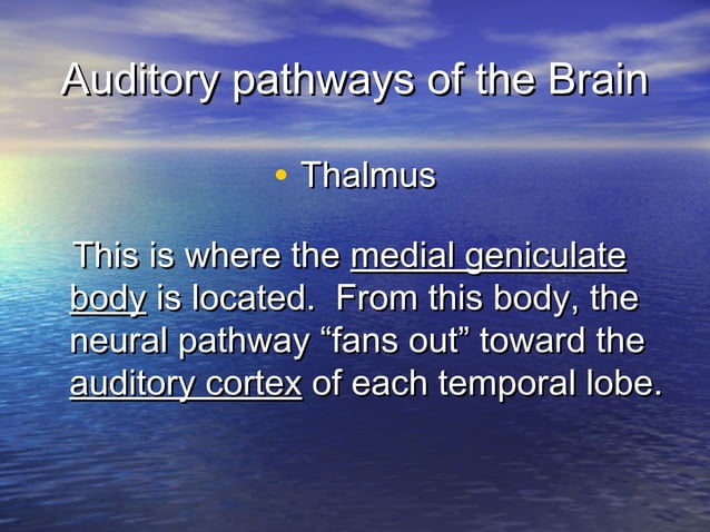 Auditory pathways of the brain | PPT