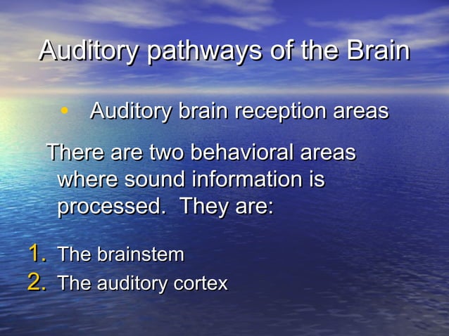 Auditory pathways of the brain | PPT