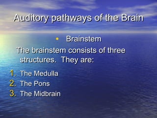 Auditory pathways of the brain | PPT