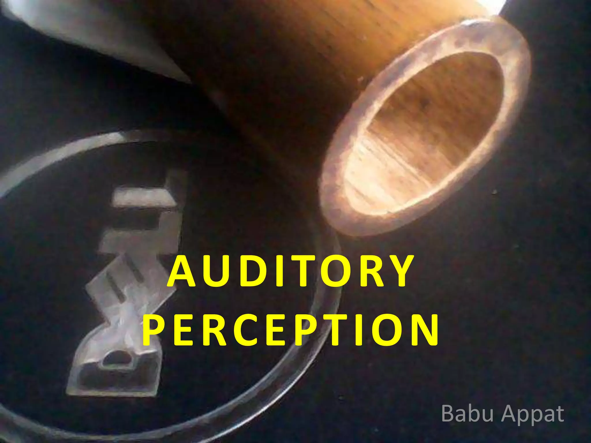 Auditory perception- How sounds are received and interpreted by human ...
