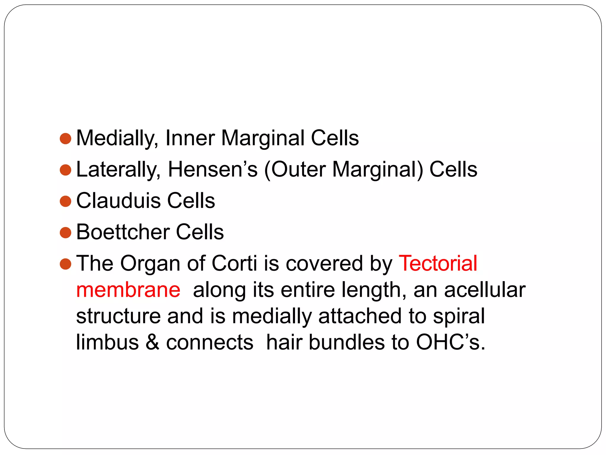 auditoryphysiology-innerear-VIVEK.pptx