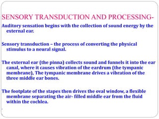 Auditory senses AND PATHWAY OF HEARING | PPTX