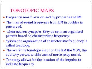 Auditory senses AND PATHWAY OF HEARING | PPTX