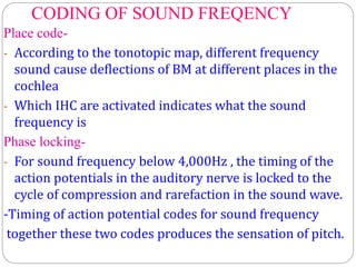 Auditory senses AND PATHWAY OF HEARING | PPTX