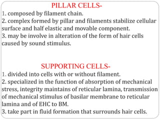 Auditory senses AND PATHWAY OF HEARING | PPTX