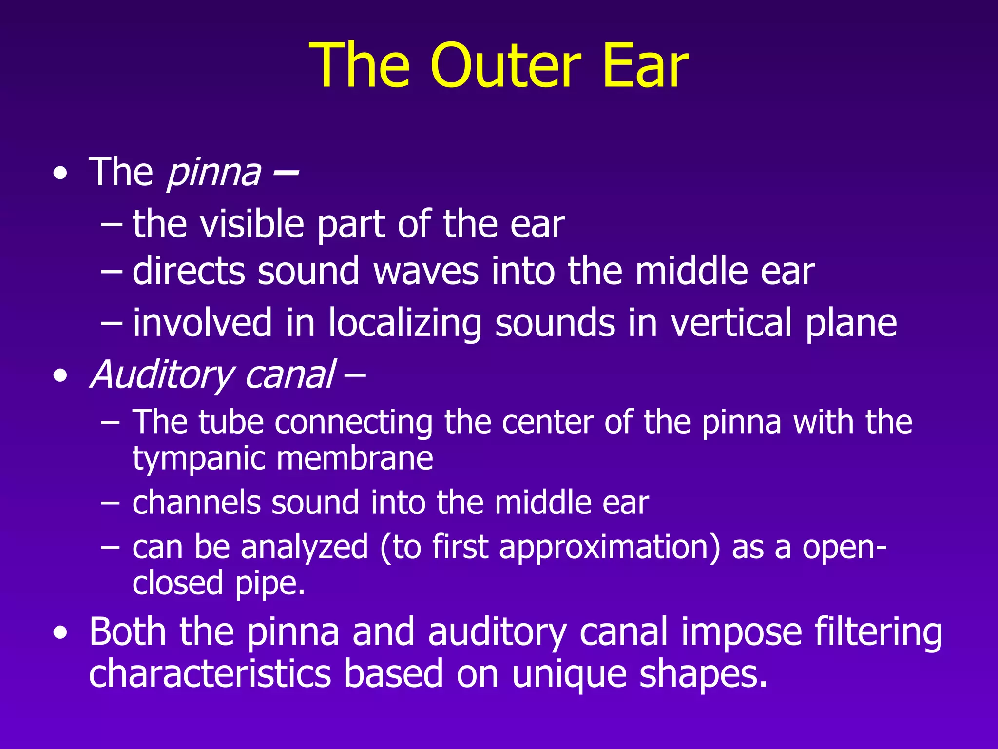 Auditory System | PPT